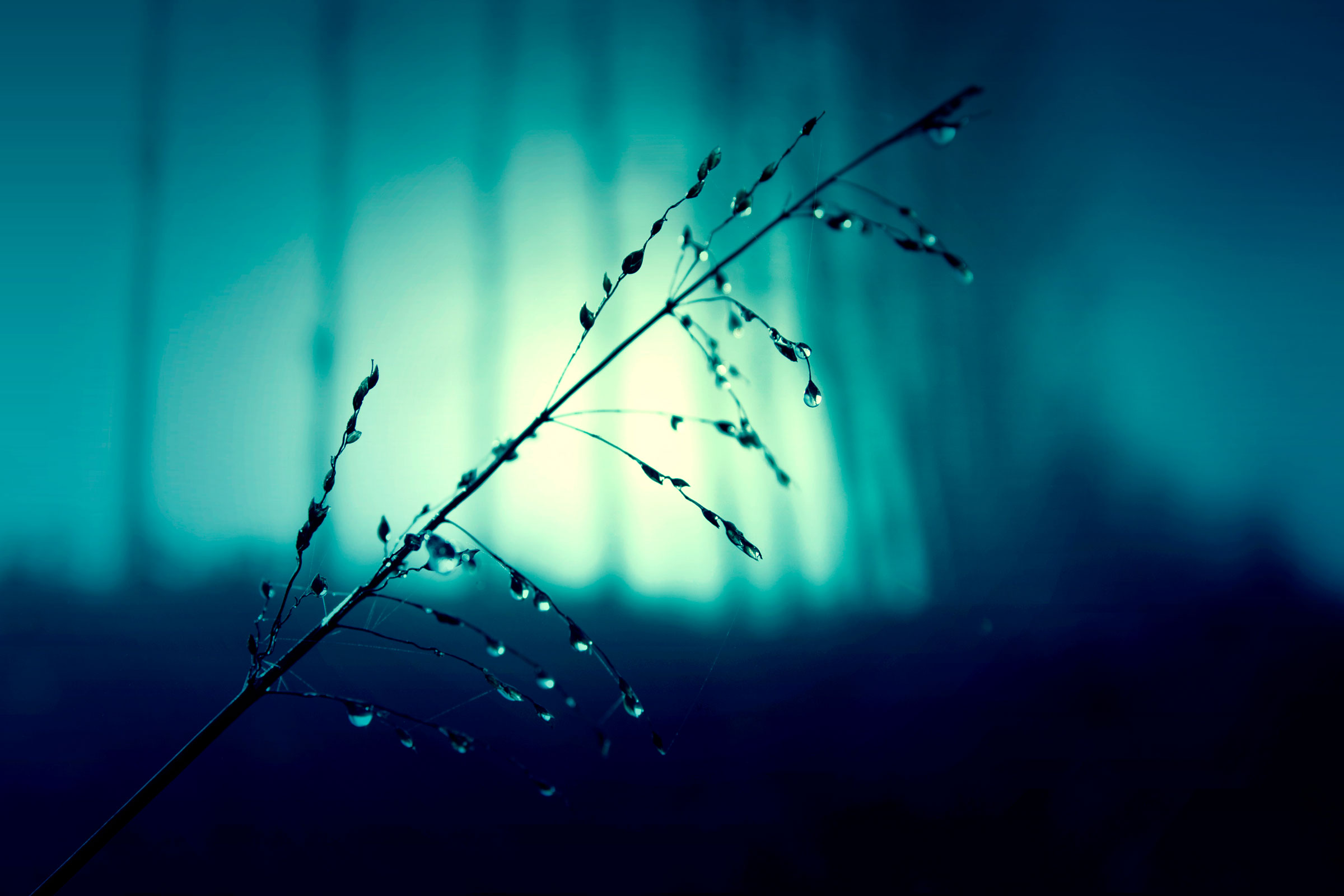 Twig For Drupal 8 Development Twig Templating Part 1 Of 2 Electric 